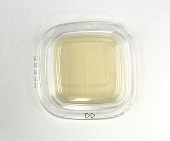 DD Agar - Cosmo Bio USA