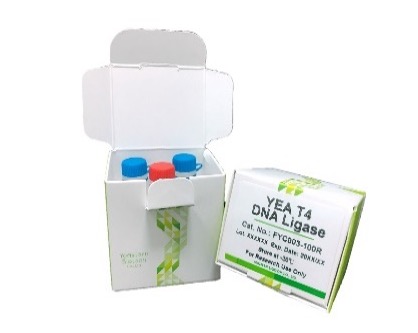 YB Rapid Ligation Kit [Catalog No.: YSN-FYC003-100R]