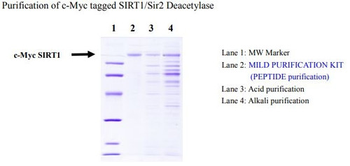 c-Myc tagged Protein MILD PURIFICATION KIT Ver.2 [Catalog No.: MBL-3305 ...