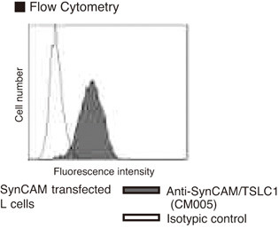 Anti-SynCAM (TSLC1/CADM1) (Human) mAb (Clone: 9D2) [Catalog No.: MBL ...