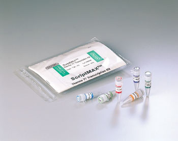 ScriptMAX Thermo T7 Transcription Kit [Catalog No.: TYB-TSK-101]