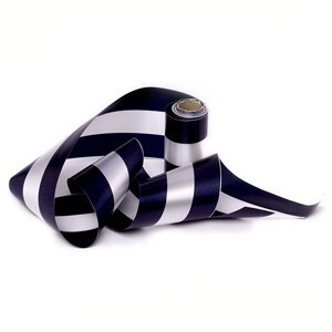 AFL Teams :: Carlton Blues :: Carlton Blues AFL Ribbon
