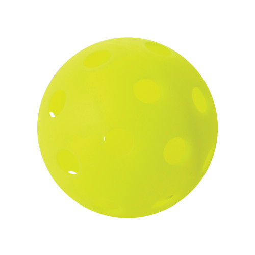RECREATIONAL INDOOR PICKLEBALL SET