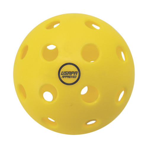 INJECTION MOLDED OUTDOOR PICKLEBALL SET - Champion Sports