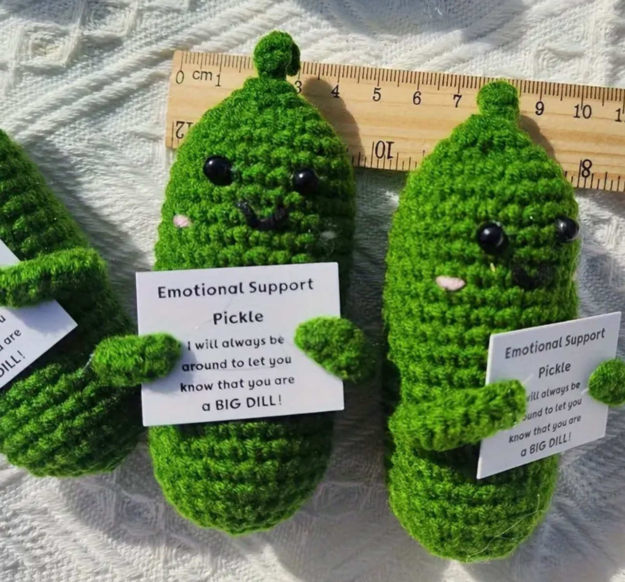 Handmade Crochet Emotional Support Pickle w/ Wooden Base & Message Card ...