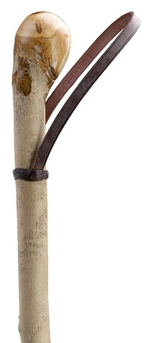 Natural Ashwood Walking Stick with Leather Loop - Exquisite Canes
