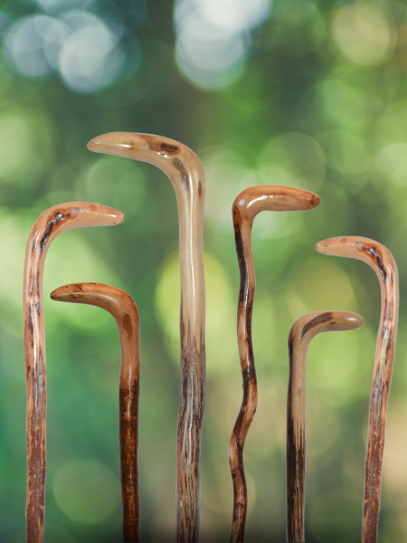 Unique Wild Wood Root Knob Cane or Stick - Exquisite Canes