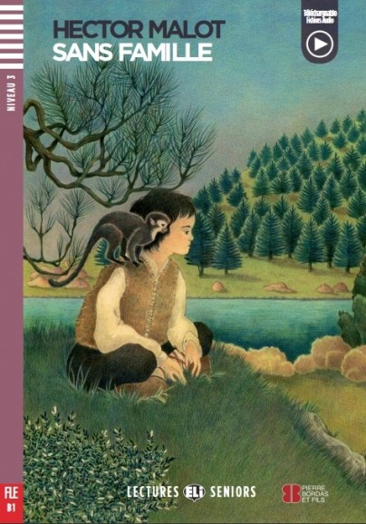 French easy reader book Sans Famille (with downloadable audio) - Hector ...