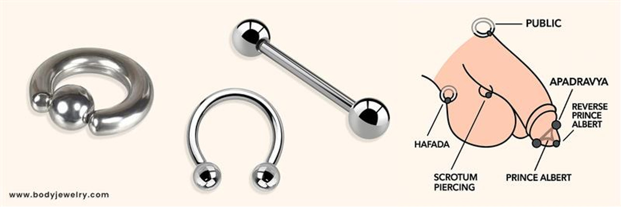 The Most Popular Male Genital Piercings — And What They Reveal About You - BodyJewelry.com