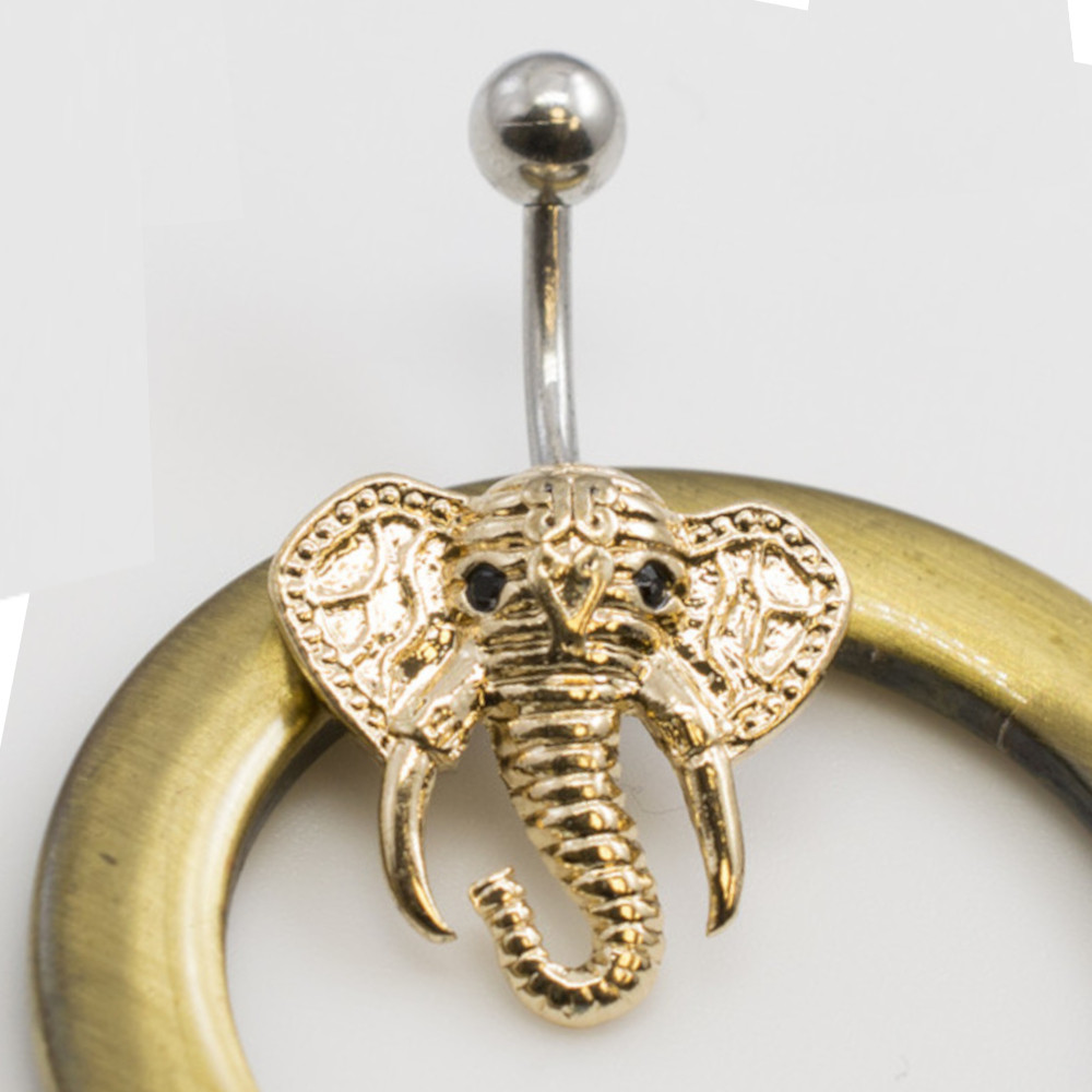 elephant belly button