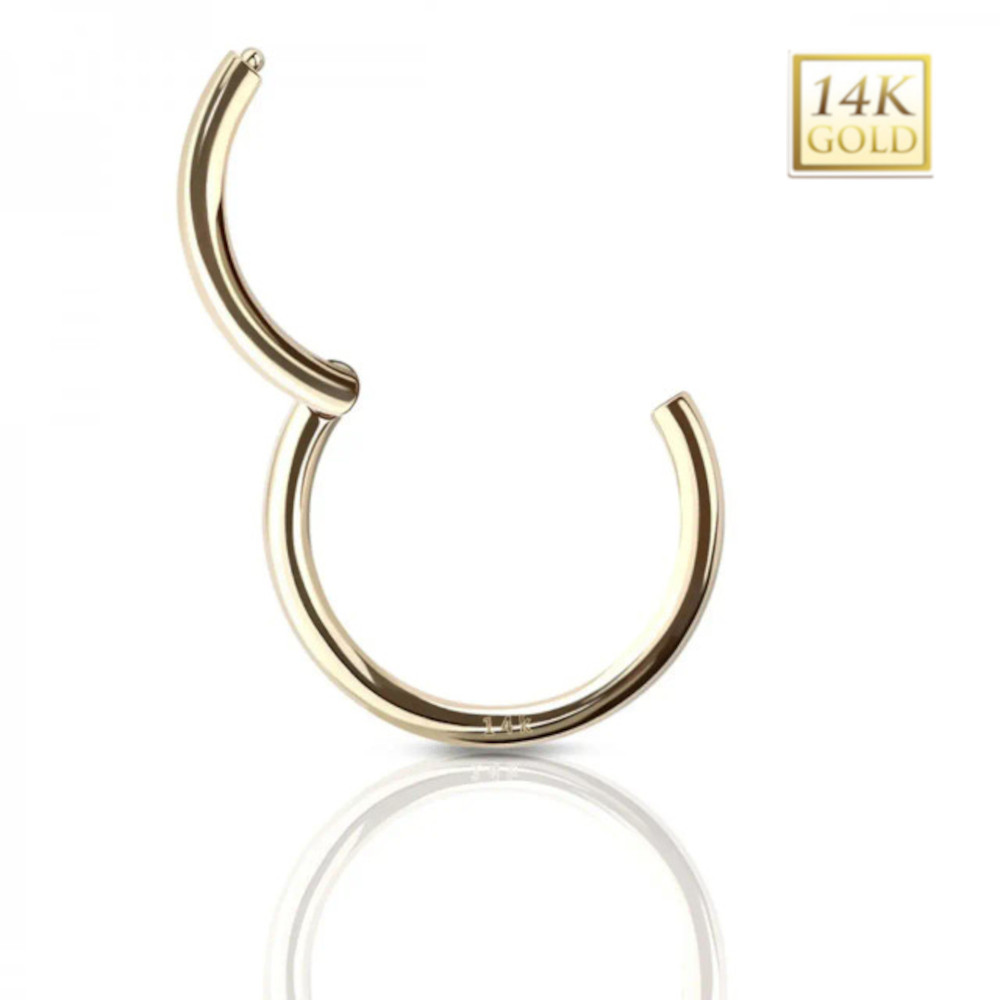 14K Gold Clicker Hoop Hinged Segment Ring