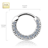 Titanium Front Facing Glow In The Dark Segment Ring