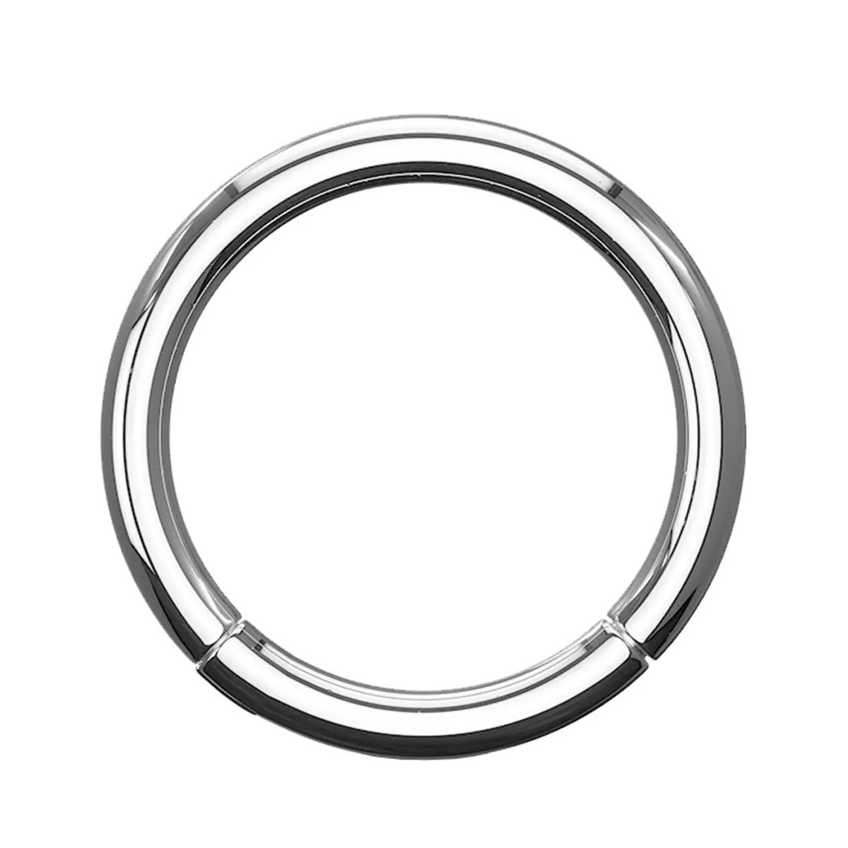 Titanium Front Facing Glow In The Dark Segment Ring