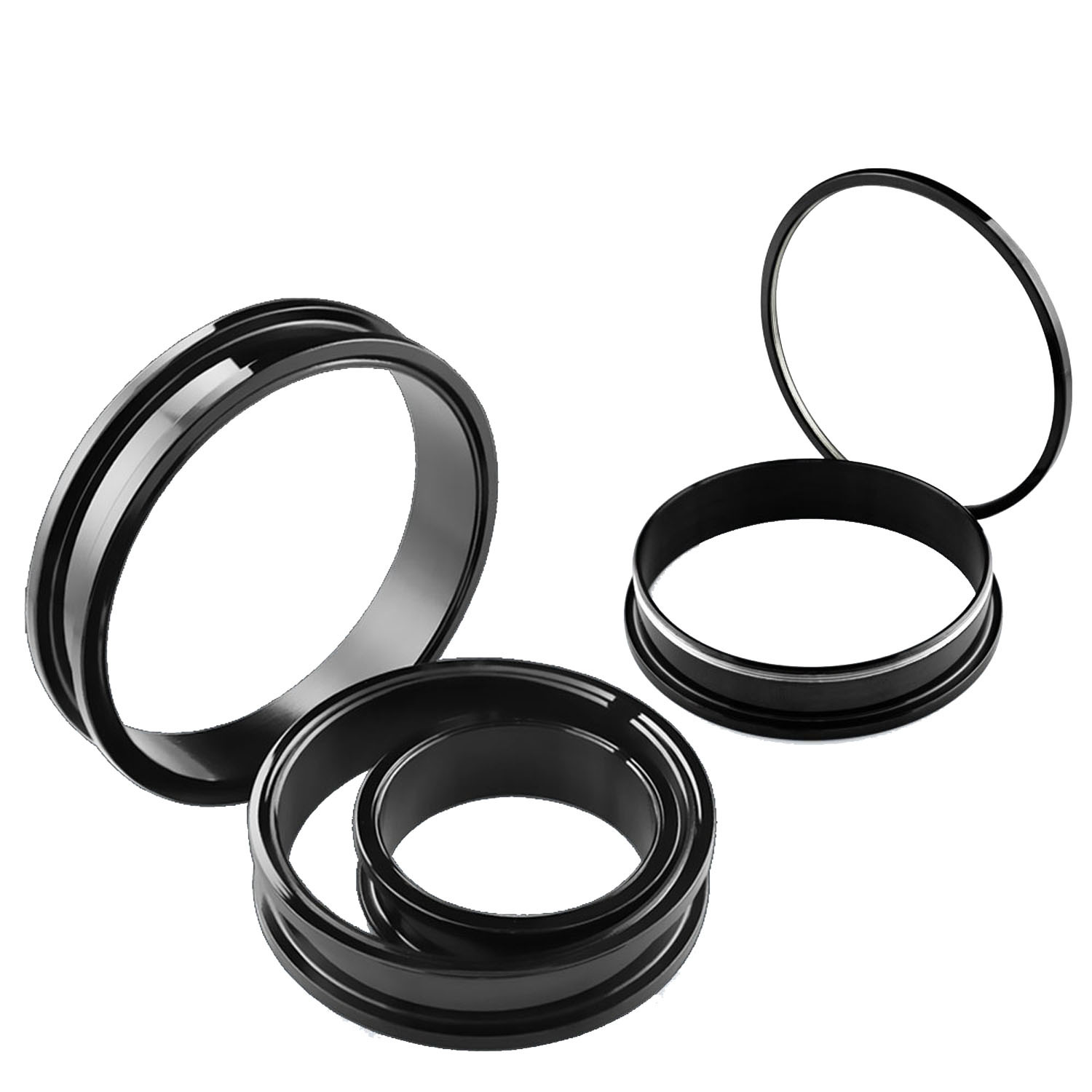 Spider Web Surgical Steel Plugs