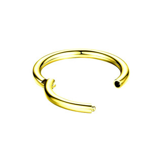 Titanium PVD Gold Hinged Segment Ring Clicker Hoops