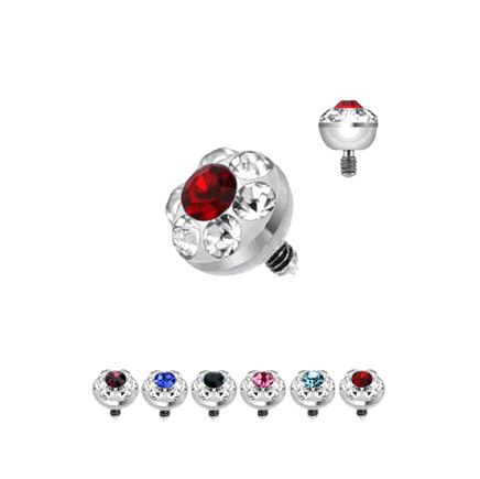 Eight Internally Threaded Shell Inlayed Dermal Tops