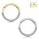 Titanium Front Facing Glow In The Dark Segment Ring