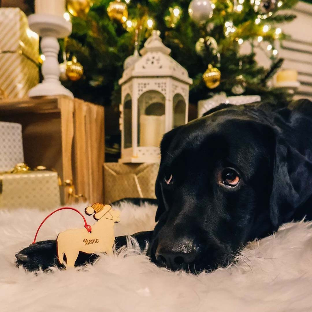 Personalised Labrador Dog Pet Decoration - The Crafty Giraffe