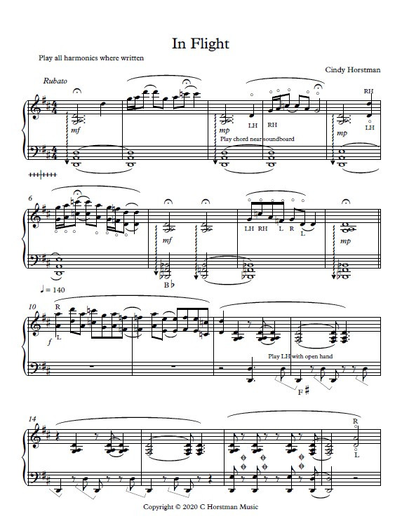 In Flight by Cindy Horstman PDF Download - Harp District
