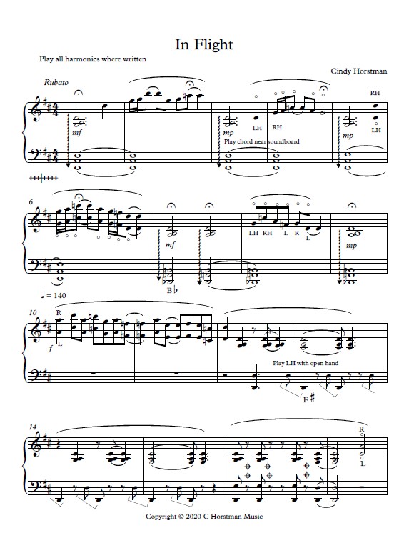 In Flight by Cindy Horstman PDF Download - Harp District