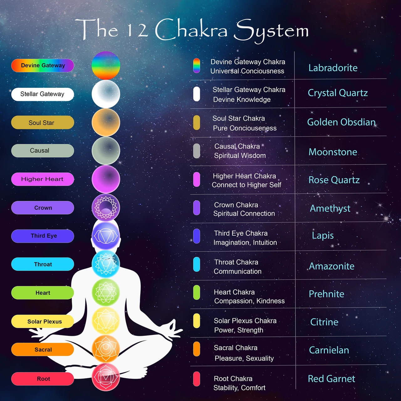 12 Chakra Healing Necklace
