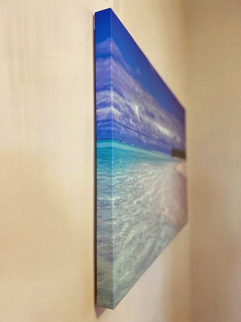 Tropical Delight Canvas Print - David Lawrence Photography