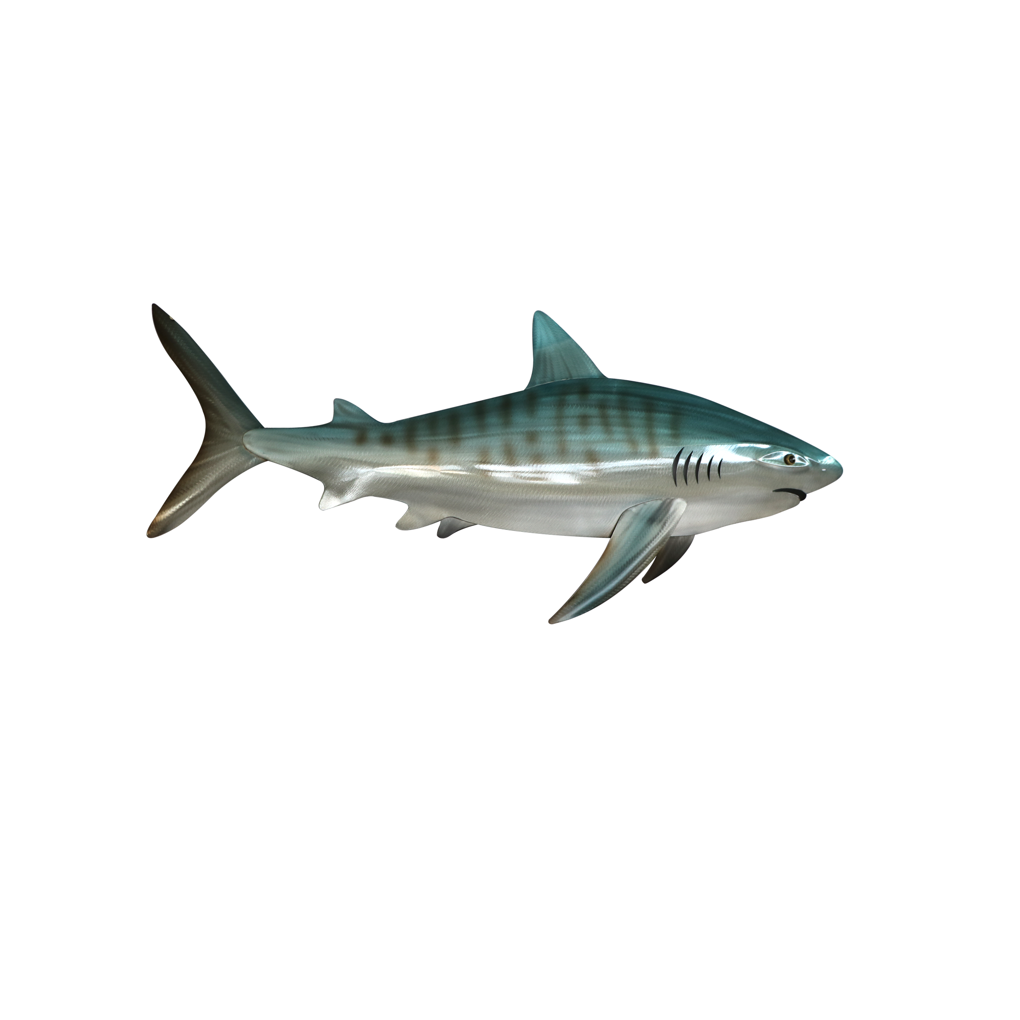 Tiger Shark Stainless Steel CO196
