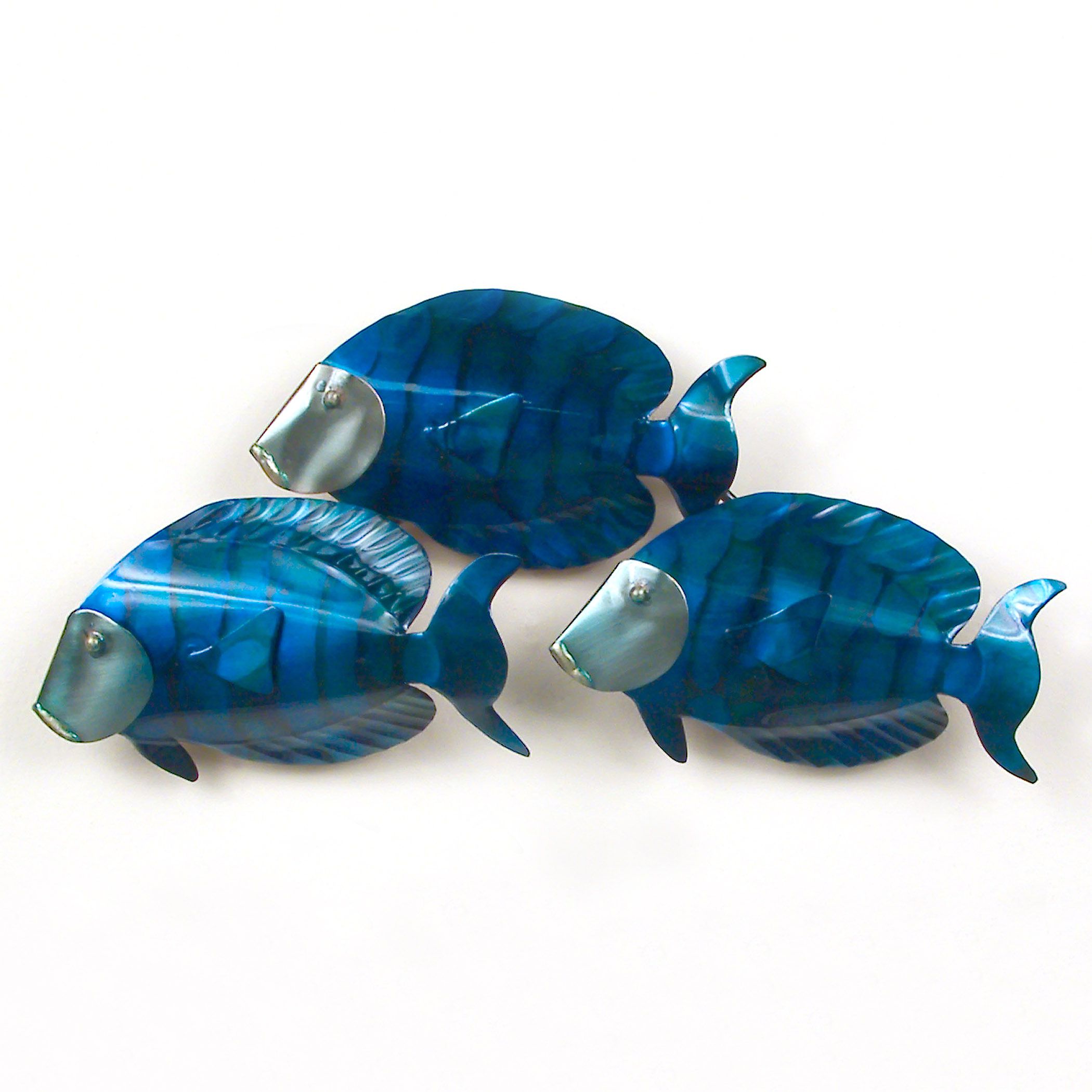 School Of Blue Tangs