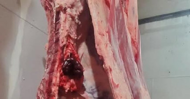 Quarter Beef Carcass Deposit