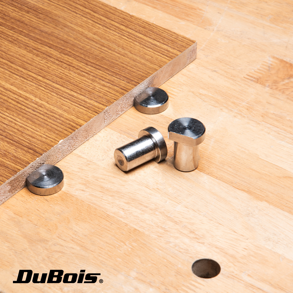 DuBois 51058 Stainless Steel Bench Dogs Workbench Stoppers, 4 PK ...