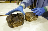 Future roads may contain 100% more pig poop - Sierra Safety