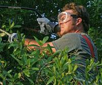 Protective Eyewear - Sierra Safety