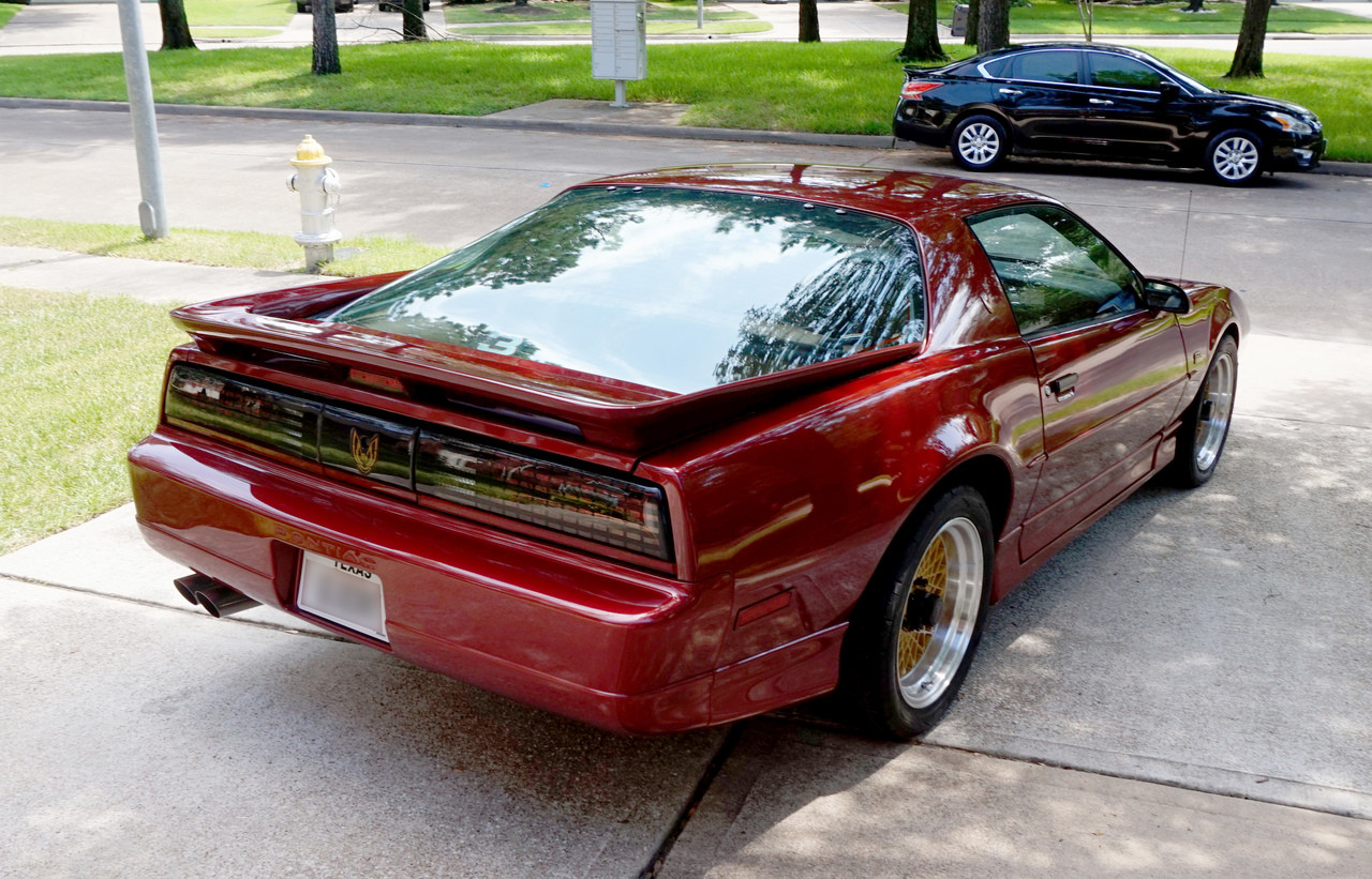 Shop by Category - Firebird - 1982-1992 Firebird - Exterior - Rear ...