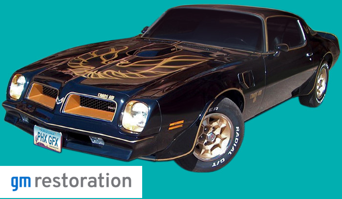 Phoenix Graphix 1976-1978 Trans Am Special/Limited Edition German Style ...