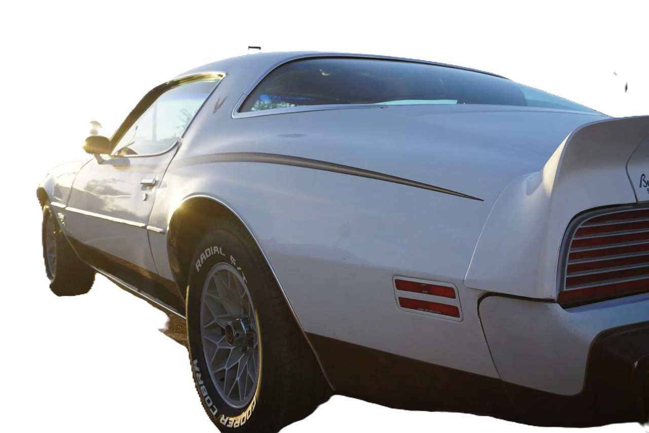 1979-81 Pontiac Firebird Esprit Decal Kit - Hawks Third Generation