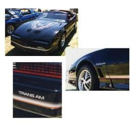 Shop by Category - Firebird - 82-92 Firebird - Exterior - Decals ...
