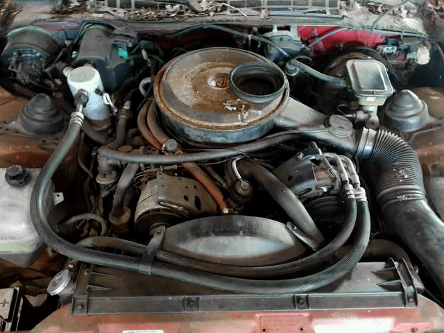 1984 Firebird Trans Am Carb V8 Automatic 65K Miles - Hawks Third Generation