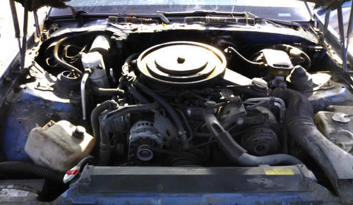 1987 Camaro Carb V8 5 SPD 116K Miles - Hawks Third Generation