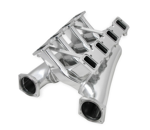LS1/2/6 102MM Dual Plenum Intake Manifold, TB Spacers, and fuel kit ...