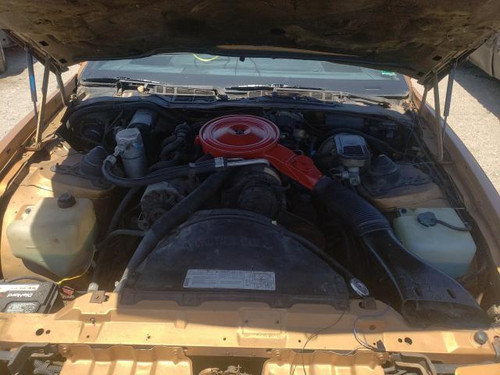 1982 Firebird SE V6 Automatic 43K Miles - Hawks Third Generation