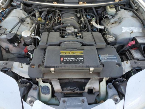 1998 Firebird Trans Am LS1 6 Speed 192K Miles - Hawks Third Generation