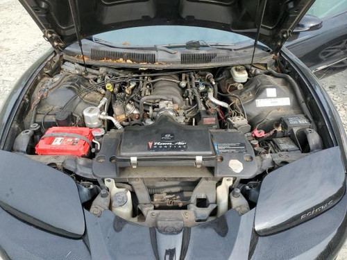 2000 Firebird Trans Am LS1 6 Speed - Hawks Third Generation