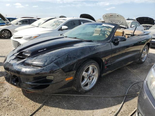 2001 Firebird Trans Am LS1 Automatic - Hawks Third Generation