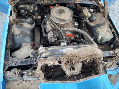 1991 Camaro RS 305 TBI 5-Speed Manual - Hawks Third Generation