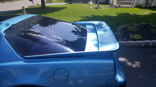 85-90 Firebird, Formula, Trans Am, GTA Wrap Around Rear Spoiler, Hawks ...