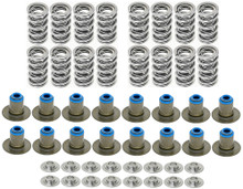 TSP .660" POLISHED Dual Spring Kit w/ PAC Valve Springs, Titanium ...