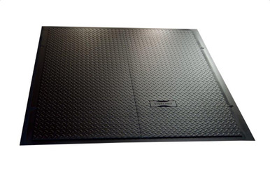 Steelway Diamond Plate Sidewalk Door | Commercial & Industrial