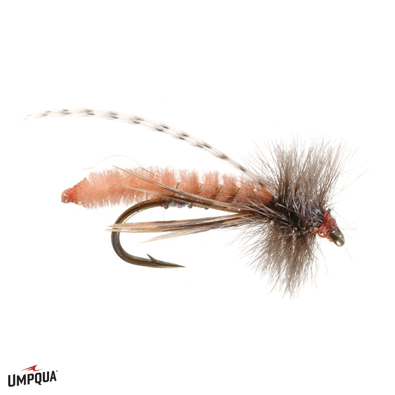 Caddis Poopah - Fly Fishing Nymph - Umpqua Feather Merchants