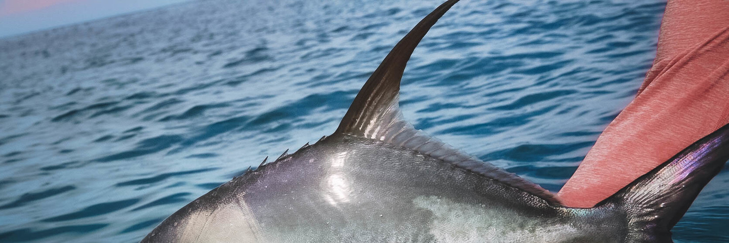 Shop by Experience - Saltwater - Permit - Umpqua Feather Merchants