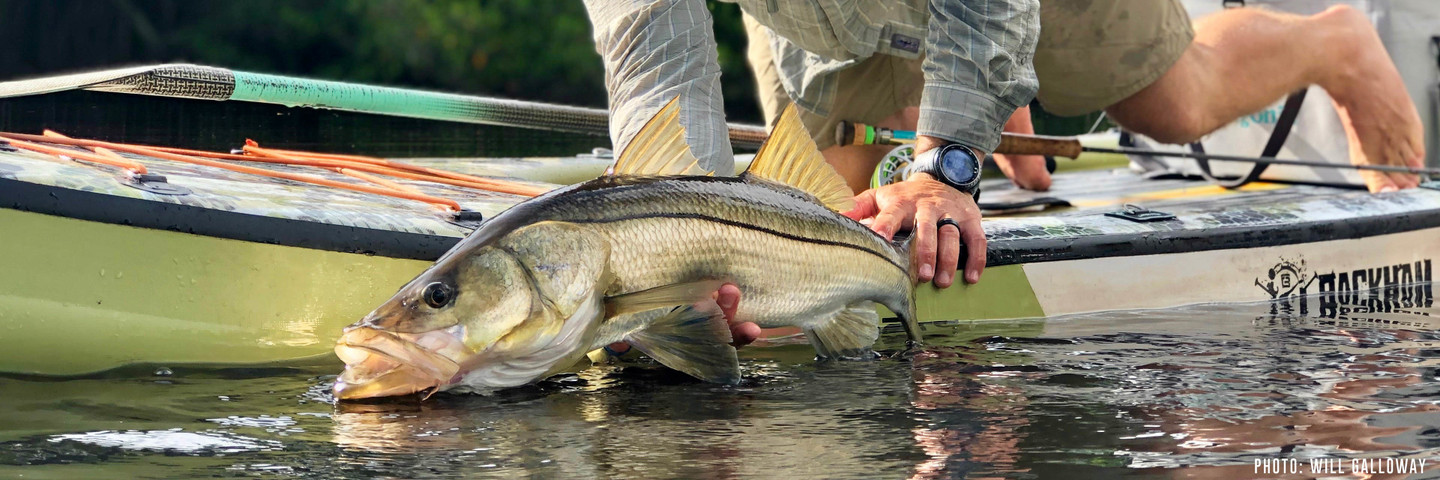 Shop by Experience - Saltwater - Snook - Umpqua Feather Merchants